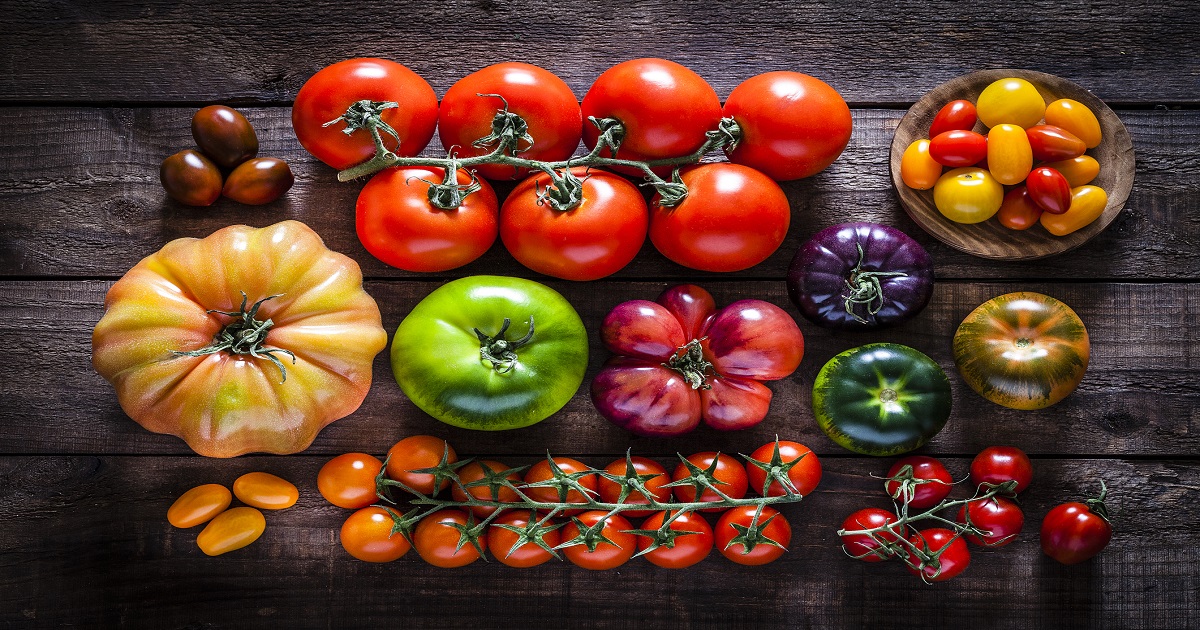 Ways to Use Fresh Tomatoes: 20 Ideas - TOPS Wellness Wednesday